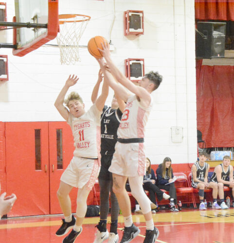 No. 7 Cee Bees escape with win over Bulldogs | News, Sports, Jobs - The ...